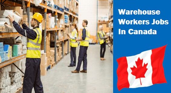 Warehouse Worker Jobs In canada - TeeGeeWeb